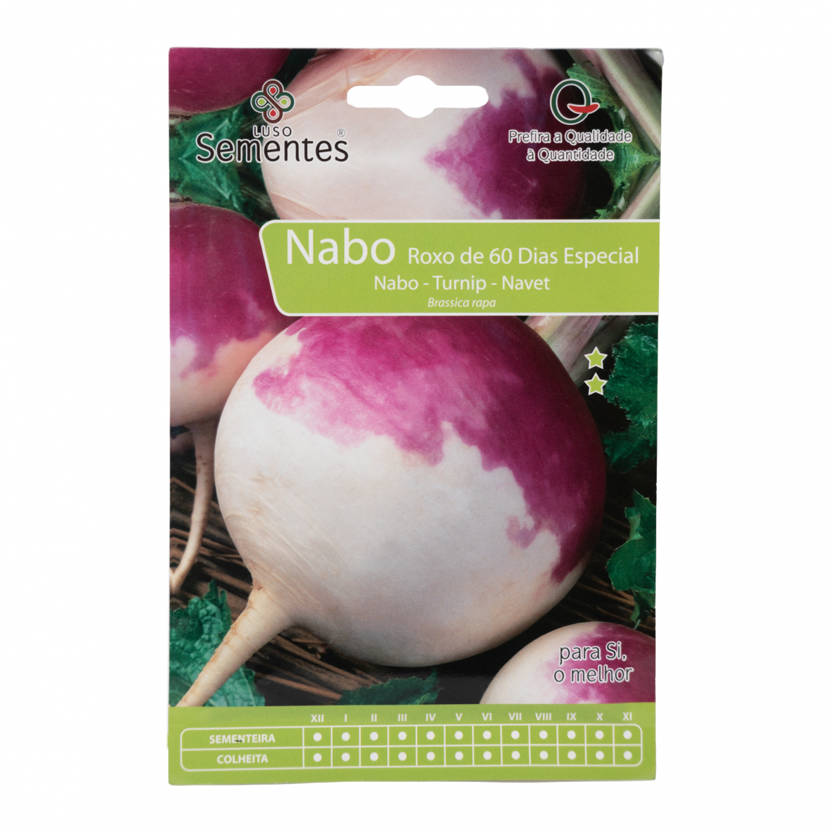 Semente Nabo Roxo 60 Dias Especial 10gr - 2121170000572-1 | Armazéns Reis