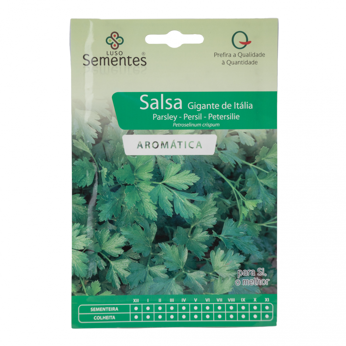 Semente Salsa Gigante Italia 10gr - 2121170001135-1 - Armazéns Reis