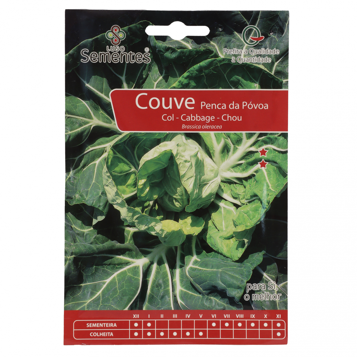 Semente Couve Penca Póvoa 10gr - 2121170000367-1 | Armazéns Reis