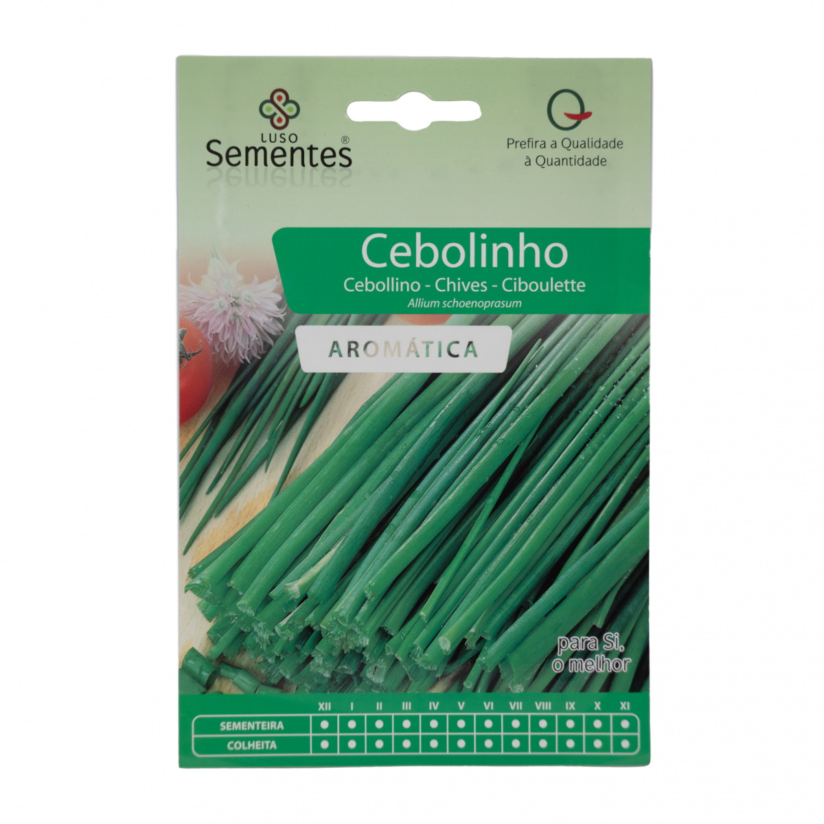 Semente Cebolinho 1gr - 2121170000978-1 | Armazéns Reis