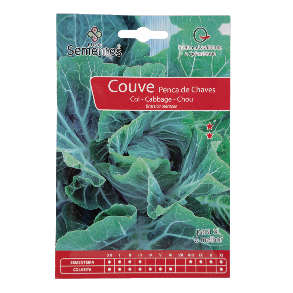 Semente Couve Penca Chaves 10gr - 2121170000374-1 | Armazéns Reis